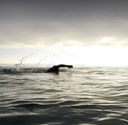 Open Water Swimming Taster Sessions