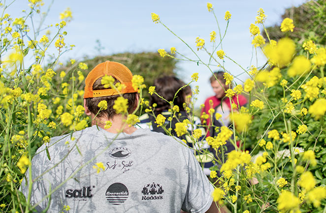 Coastal & Hedgerow Foraging Course with Tasters