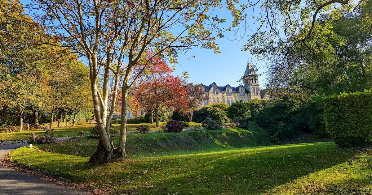 Fal Mussel Card School