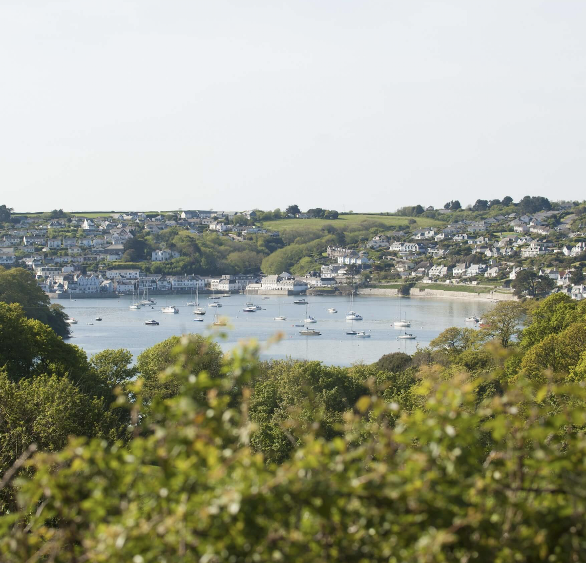 Fal River Festival’s Green Highlights