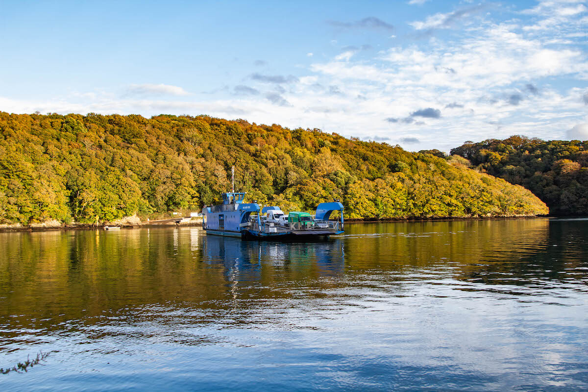 Fal Mussel Card Local Changed