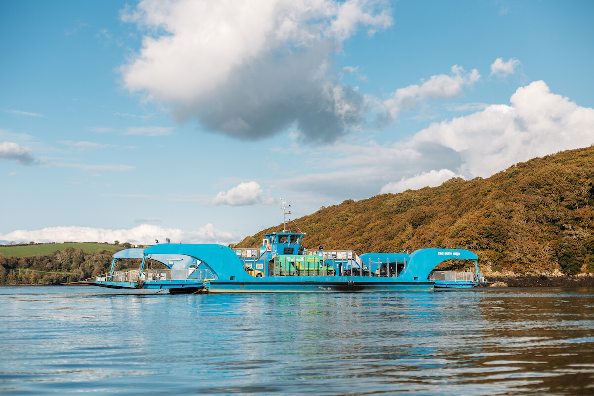 Fal Mussel Card Local