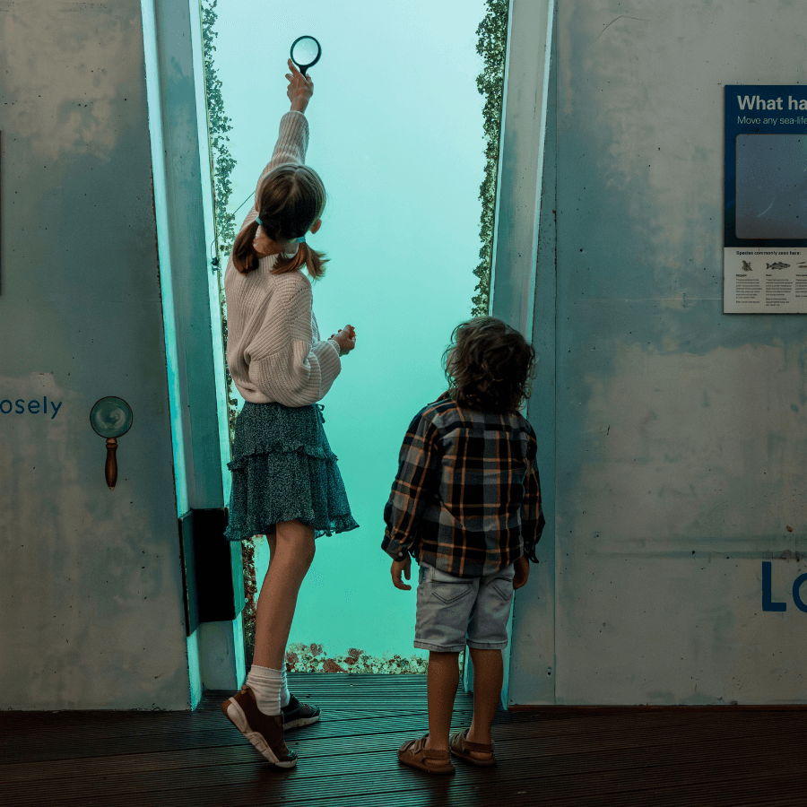 Ocean Lab at National Maritime Museum Cornwall