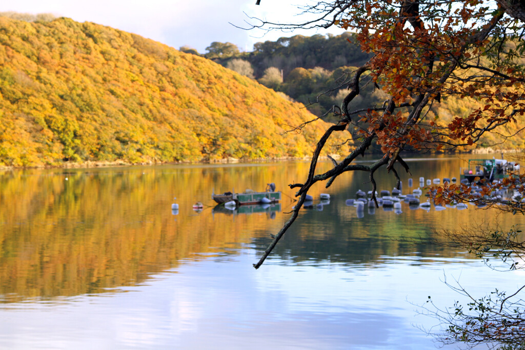 5 Reasons to visit Cornwall this Autumn...