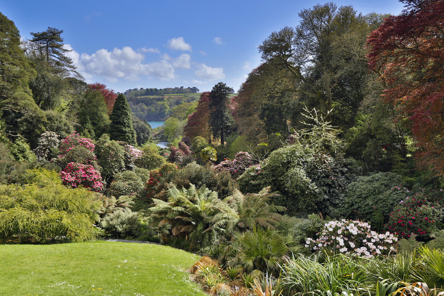 Trebah Garden