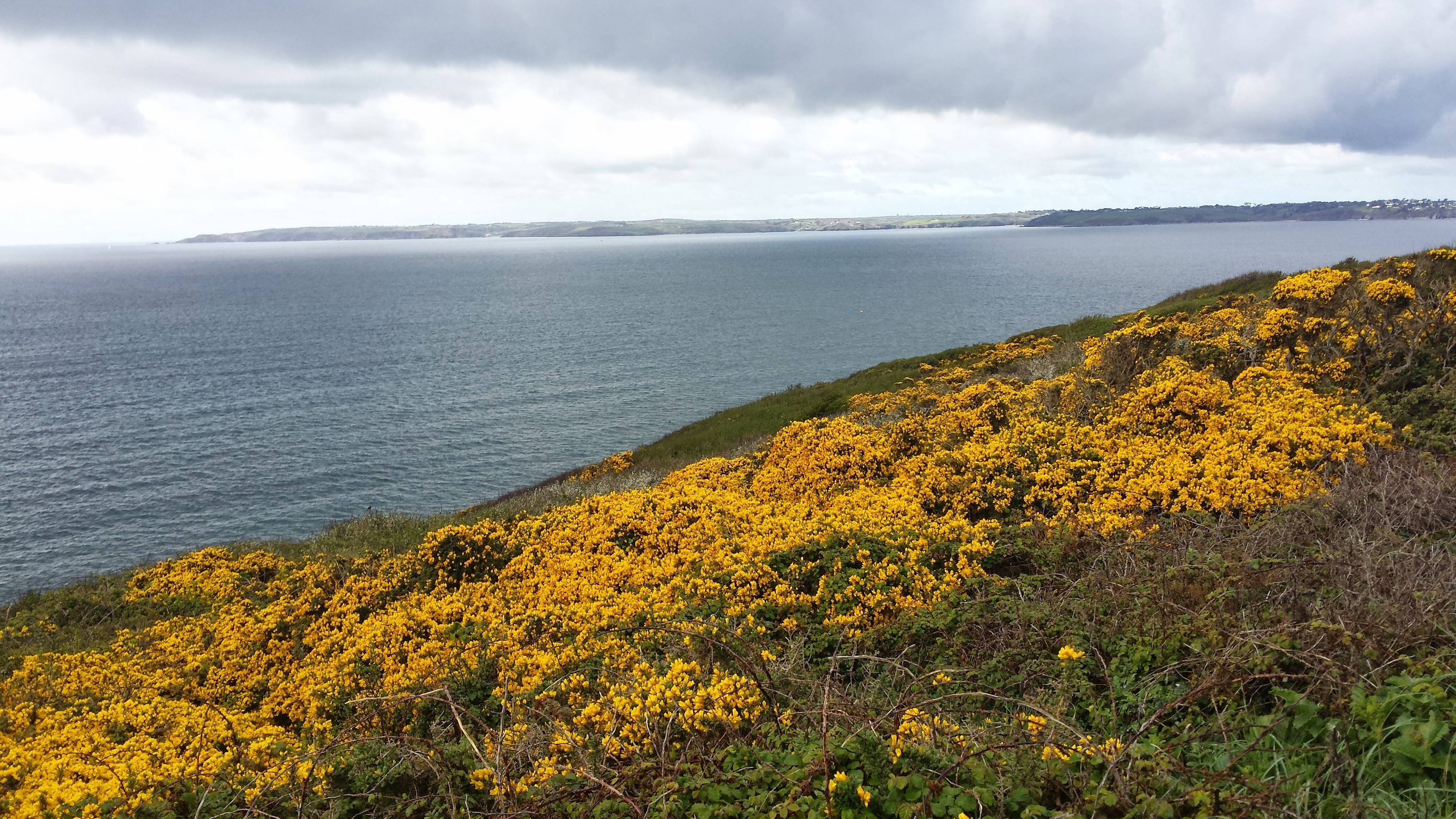 Fal River Festival Nordic Walking
